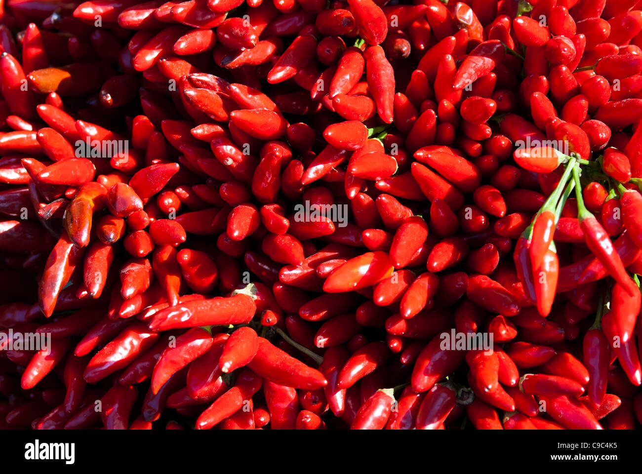 many red chillis as a texture or background Stock Photo - Alamy