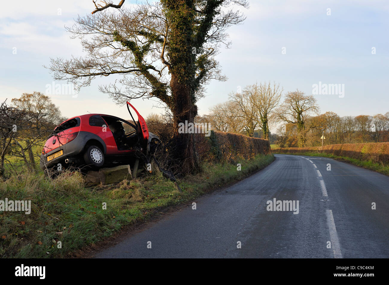 Car accident crash tree hi-res stock photography and images - Alamy