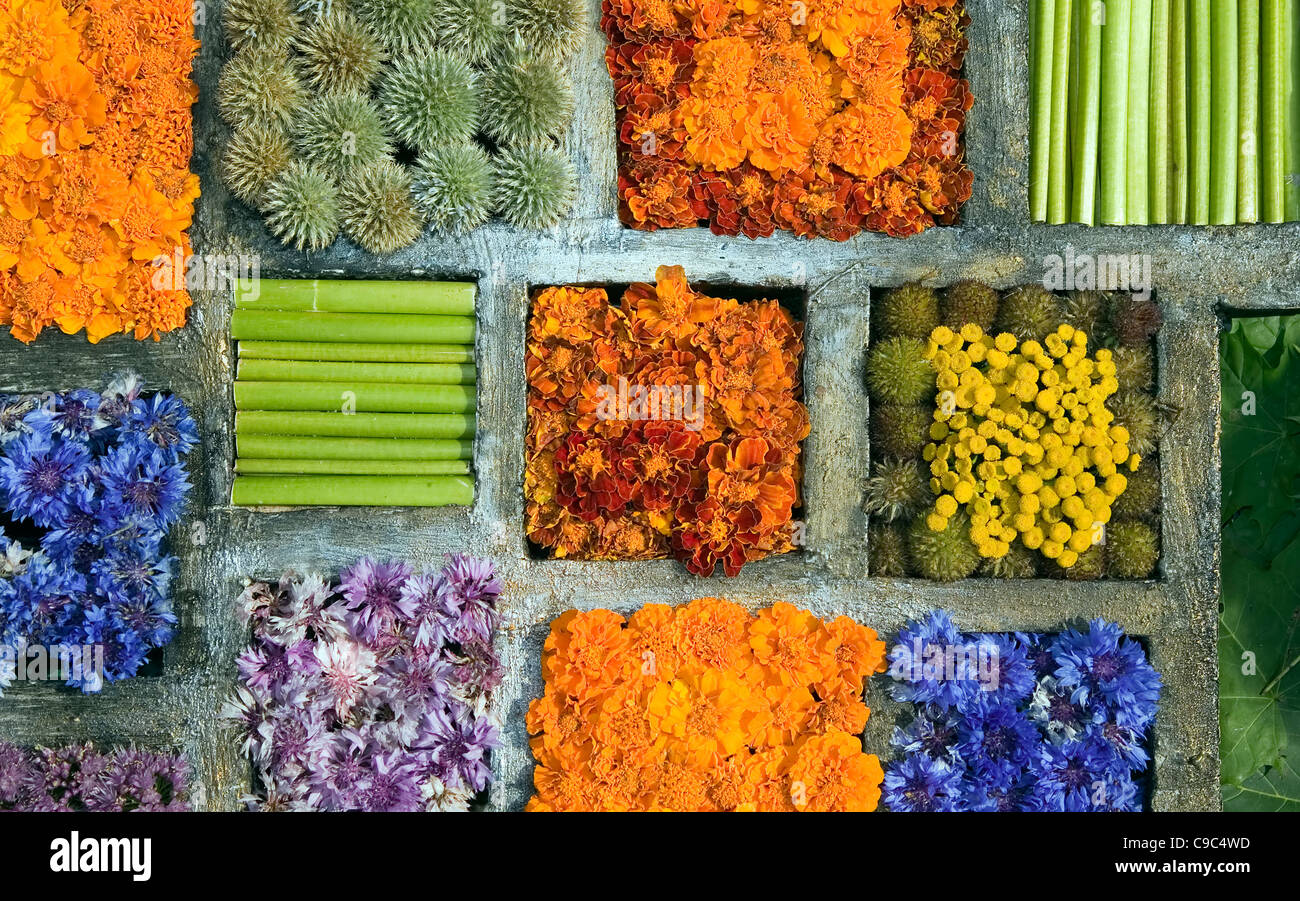 Texture of many different flowers, beautiful and creative art of nature ...