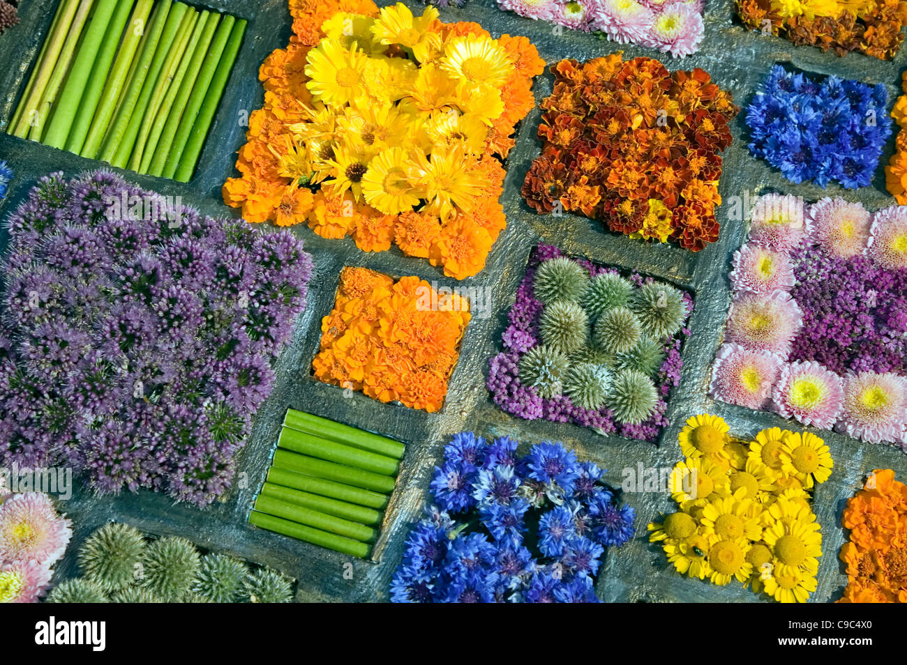 Texture of many different flowers, beautiful and creative art of nature ...