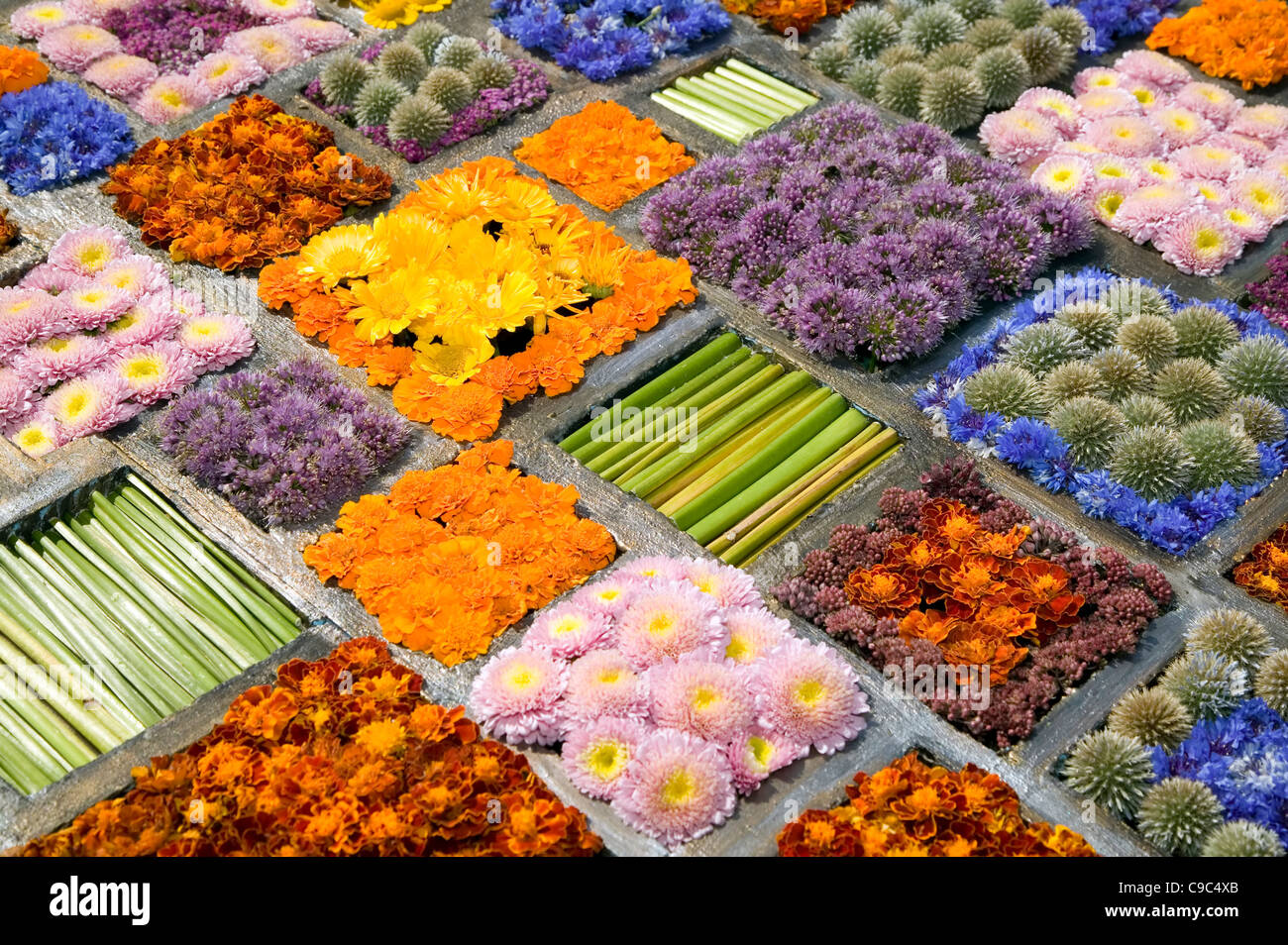 Texture of many different flowers, beautiful and creative art of nature ...