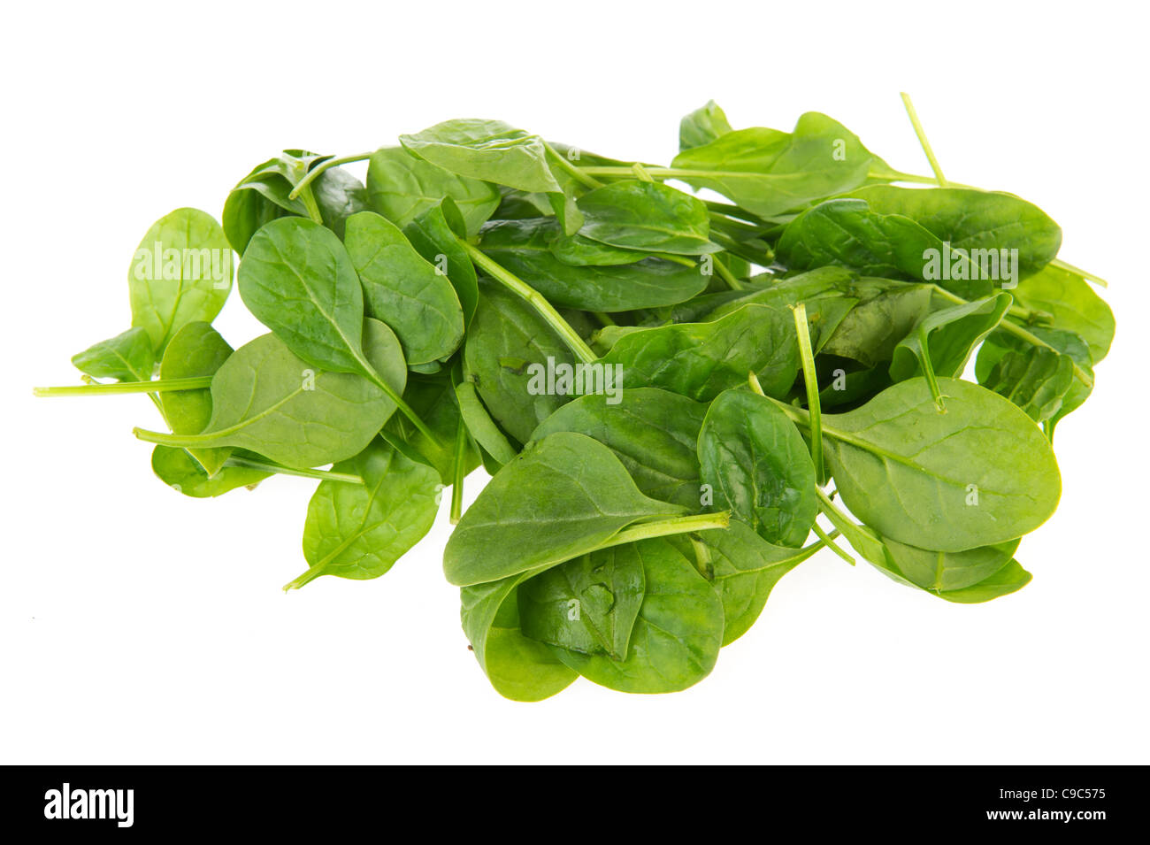 Fresh green spinach isolated over white background Stock Photo - Alamy