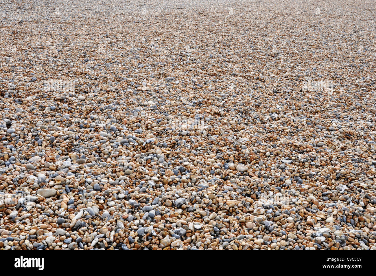 Brighton pebble beach in UK Stock Photo - Alamy