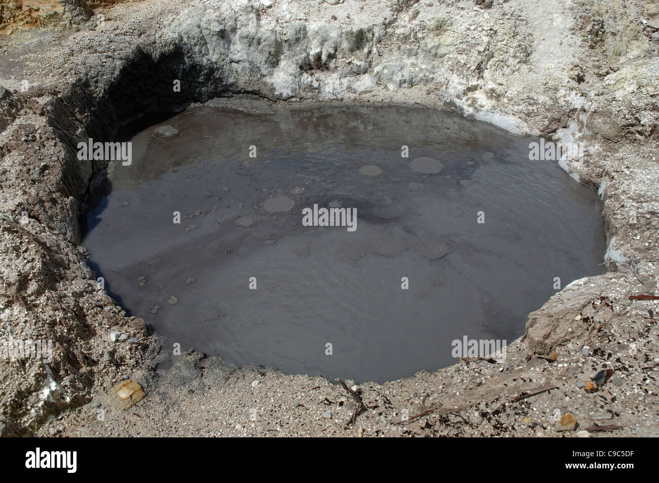 Hells gate geothermal park mud hi-res stock photography and images - Alamy