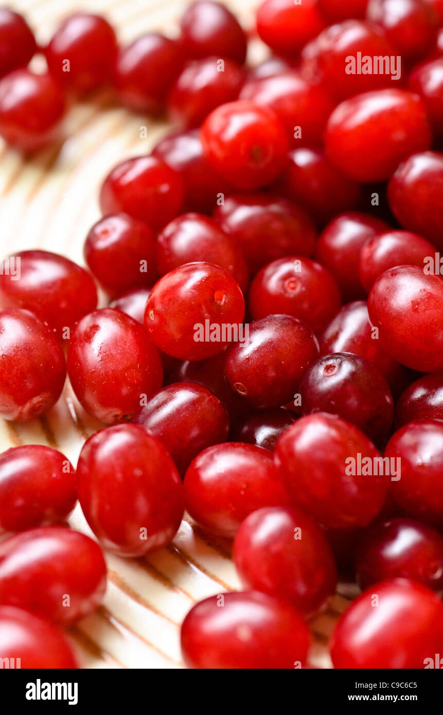 Cornus mas fruits hi-res stock photography and images - Alamy