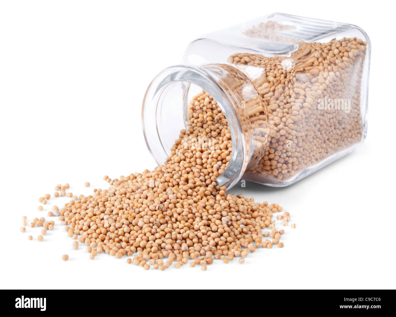 Mustard seeds is scattered on a white background from glass bottle ...