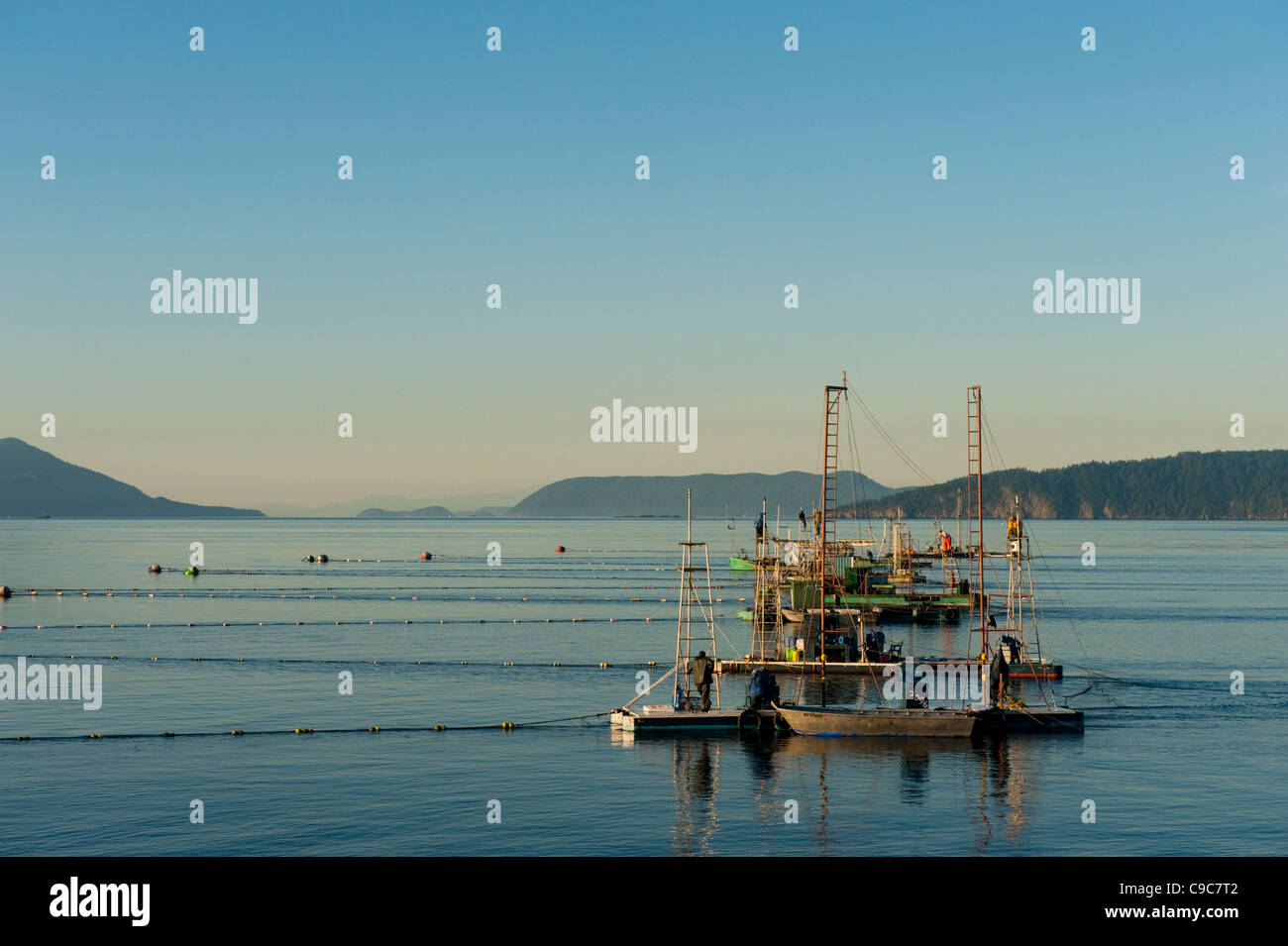 Reefnet hi-res stock photography and images - Alamy