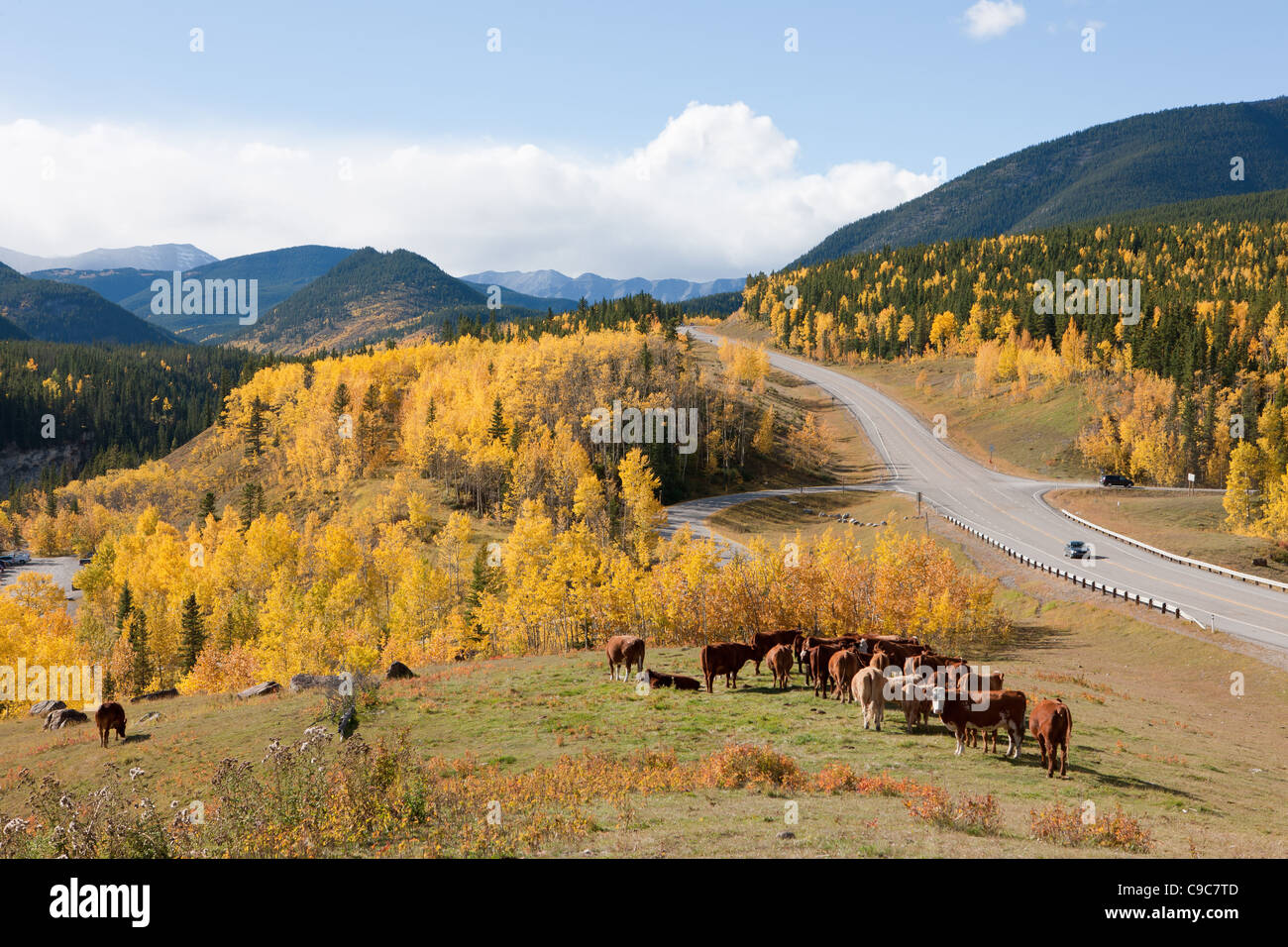The Colors of Autumn Stock Photo - Alamy