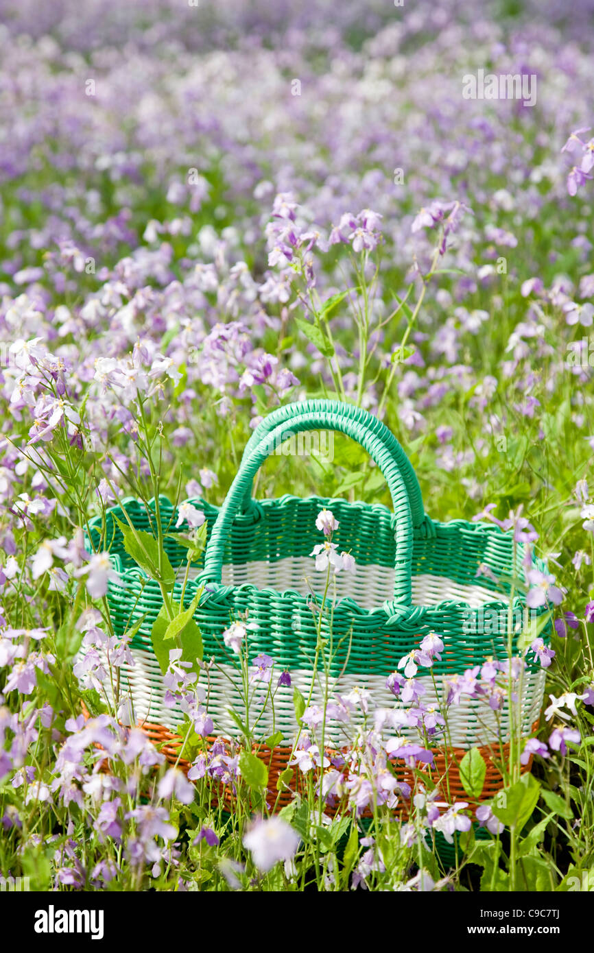 Picnic basket in flower field Stock Photo - Alamy