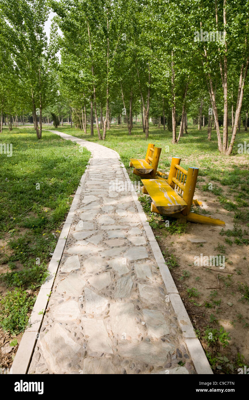 Footpath and wooden bench in the park Stock Photo - Alamy