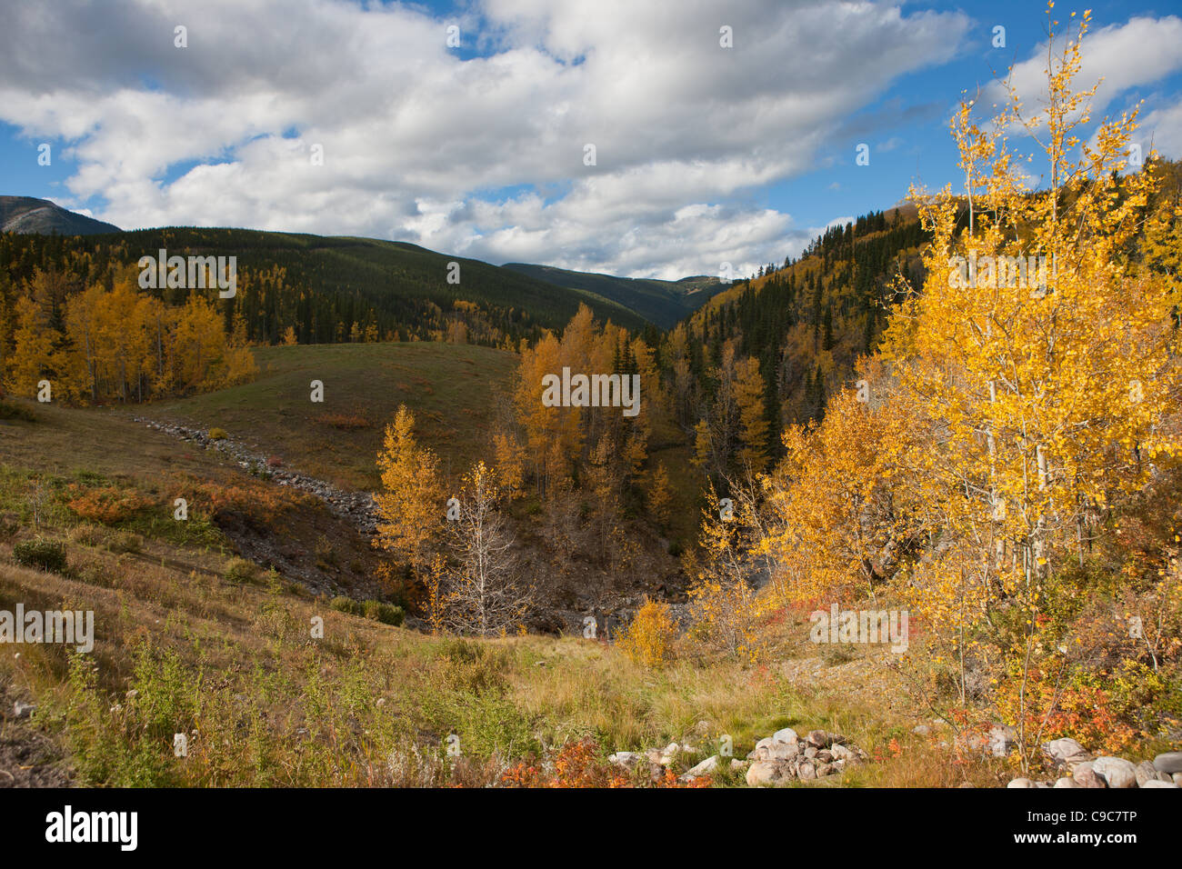 The Colors of Autumn Stock Photo - Alamy