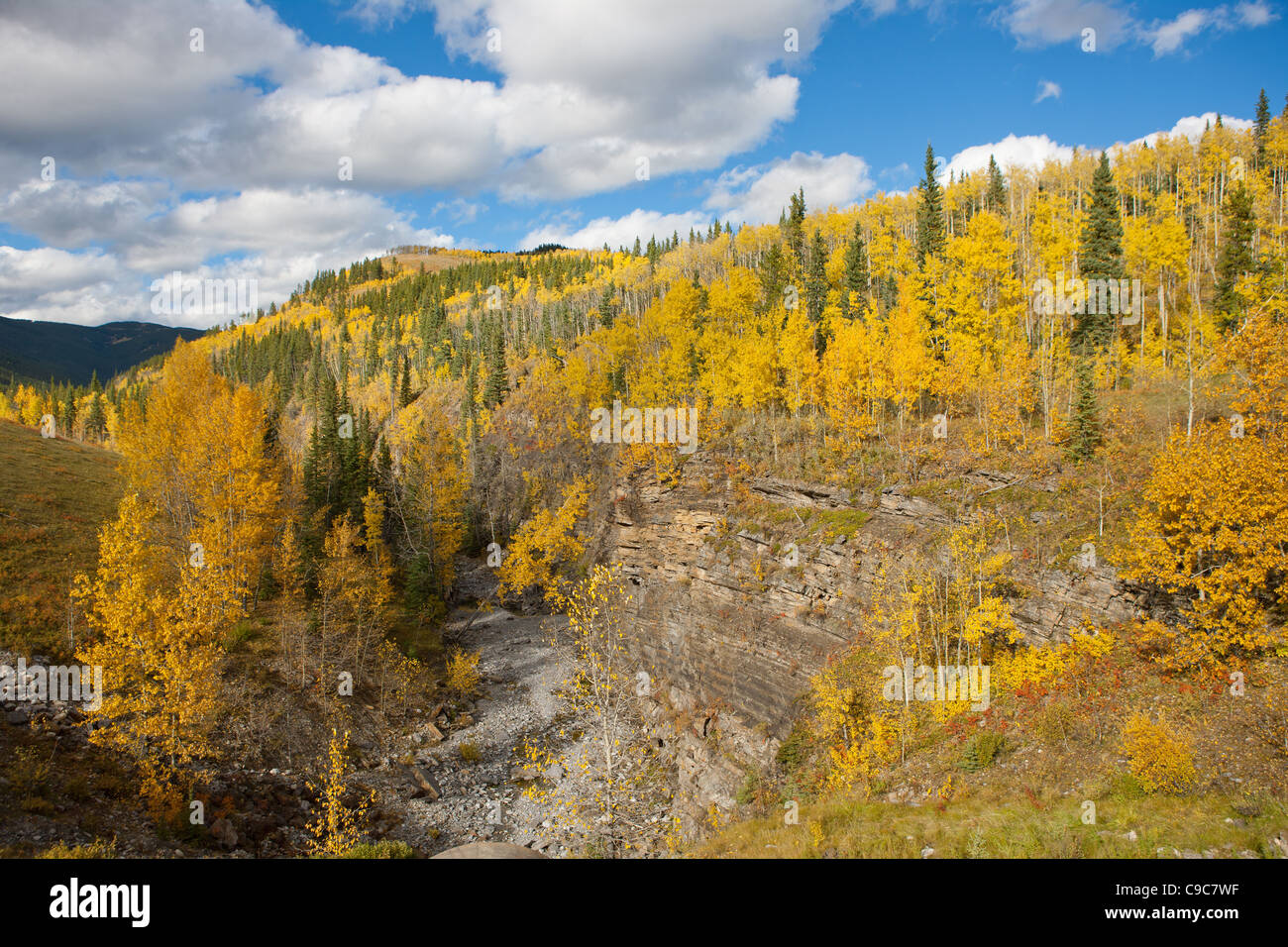 The Colors of Autumn Stock Photo - Alamy