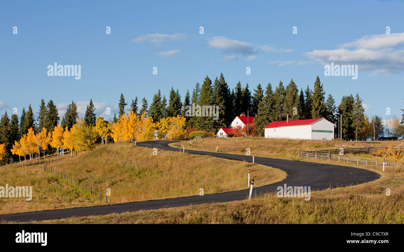 The Colors of Autumn Stock Photo - Alamy