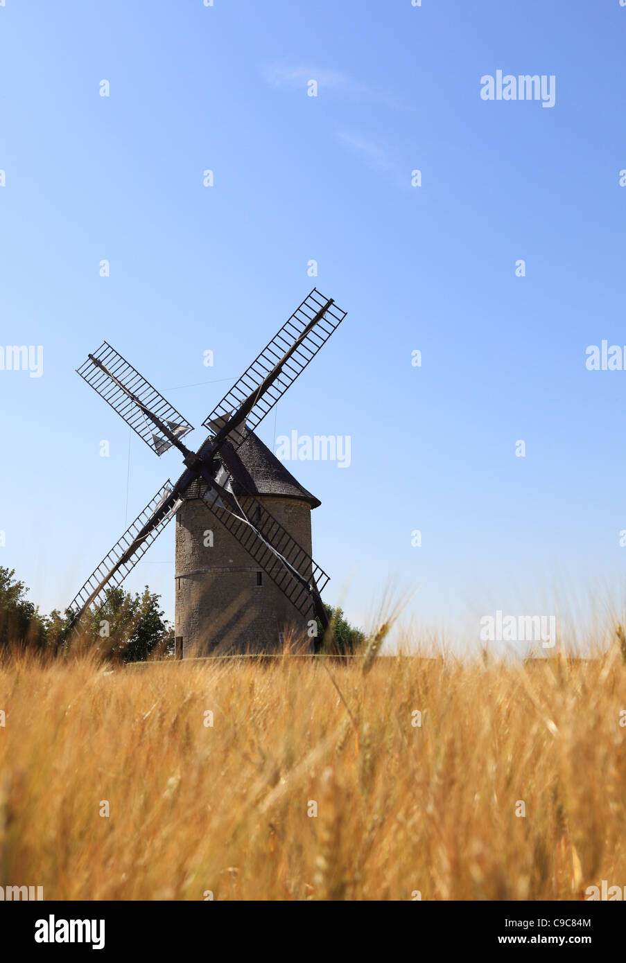 Windmill in a wheat field Stock Photo - Alamy