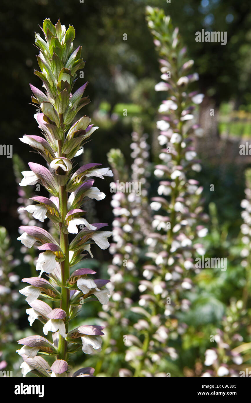 Beautiful green spaces hi-res stock photography and images - Alamy