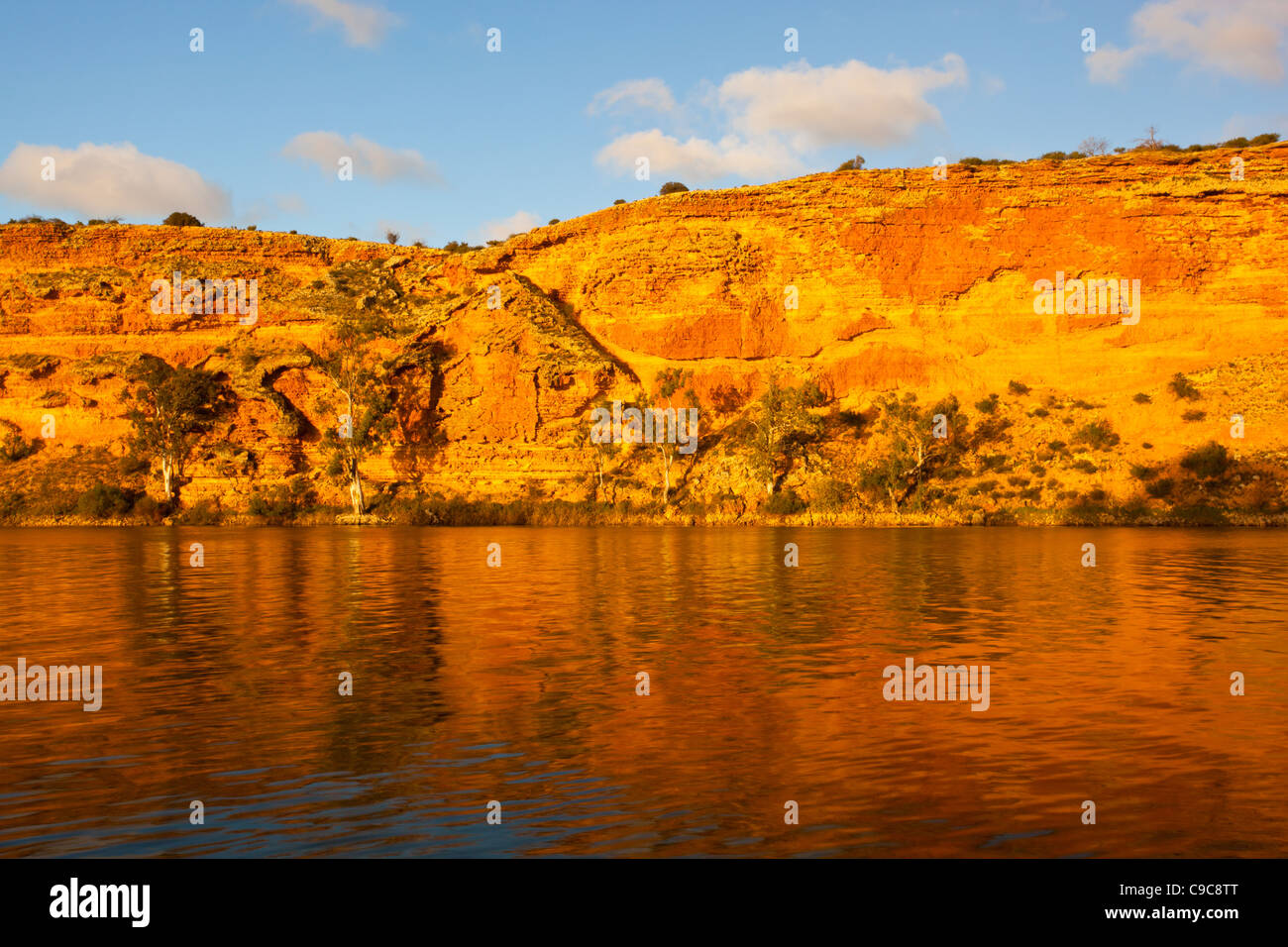 Late afternoon sun on the golden cliffs on the Murray River at Walker ...