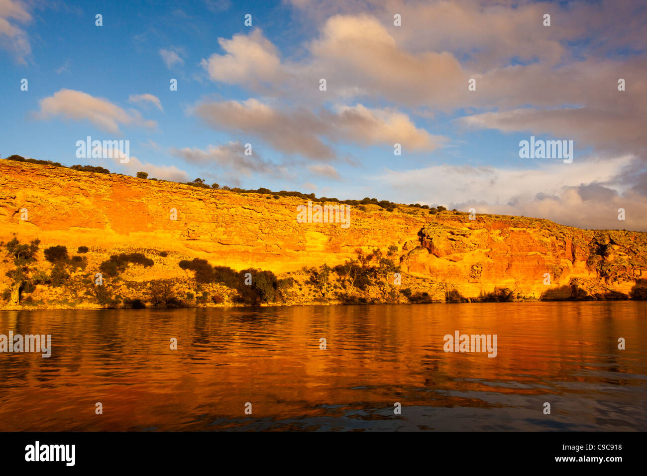 Late afternoon sun on the golden cliffs on the Murray River at Walker ...
