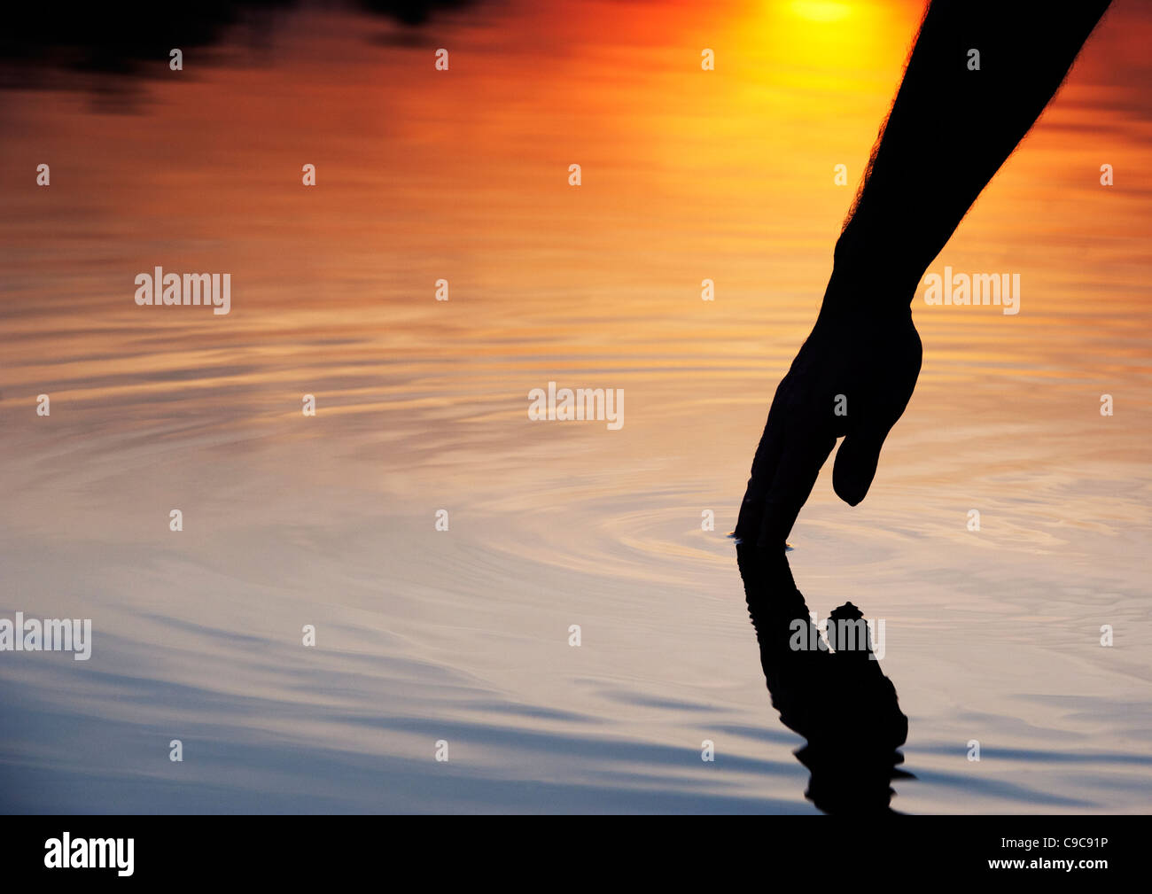 Hand touching water causing ripple at sunrise silhouette. India Stock ...