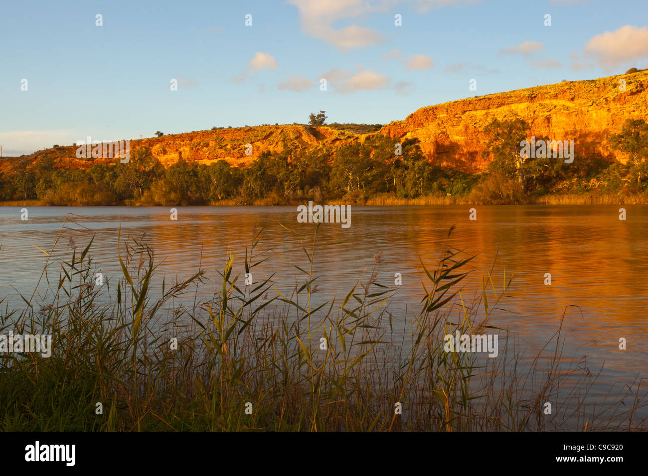 Late afternoon sun on the golden cliffs on the Murray River at Walker ...