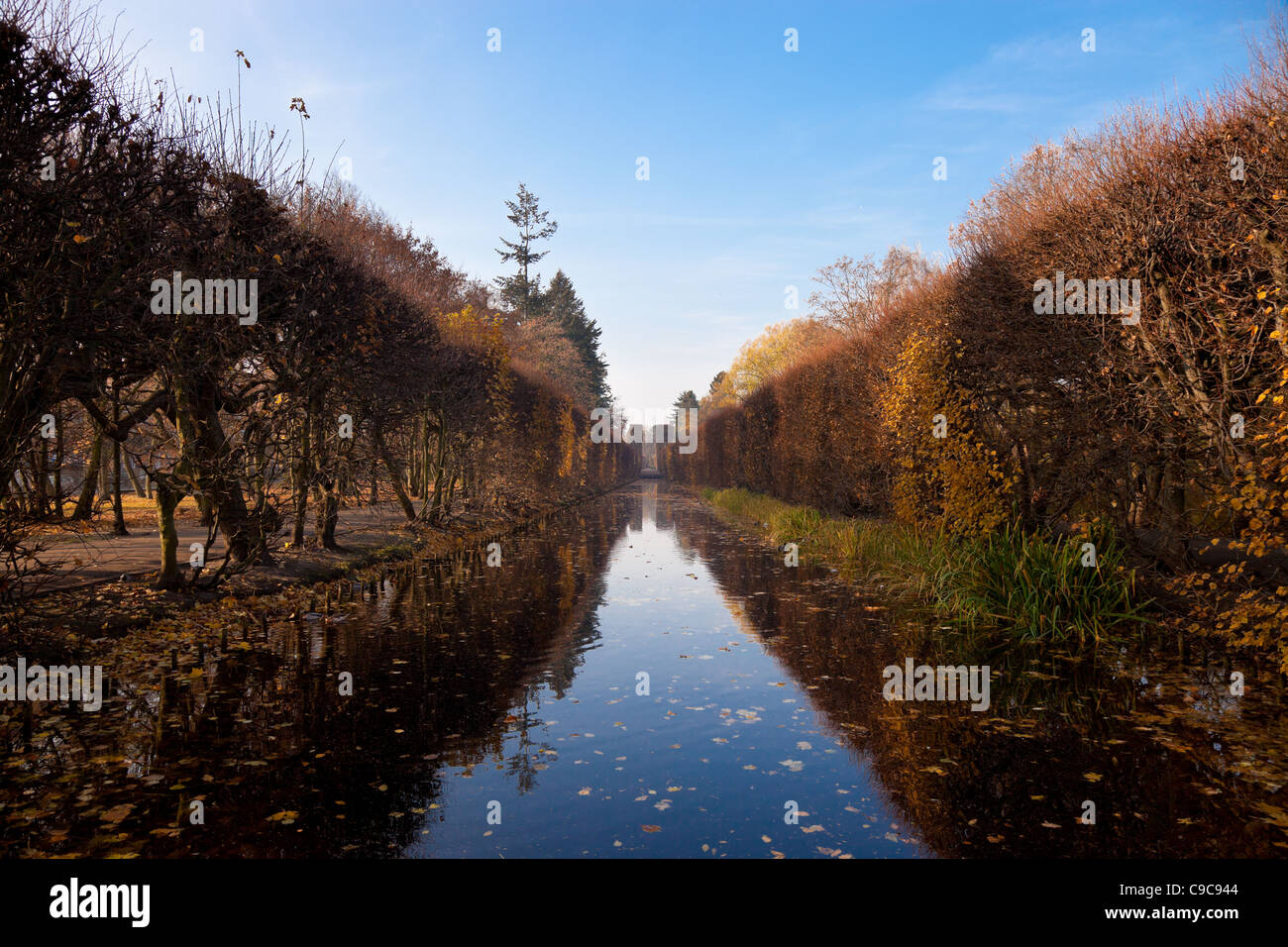 Gold polish autumn hi-res stock photography and images - Alamy