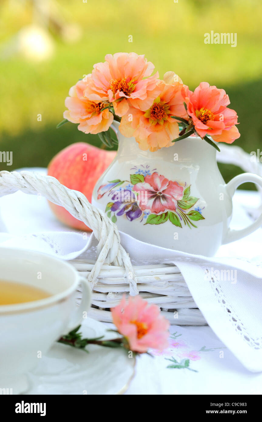 Purslane flowers in a jug Stock Photo - Alamy