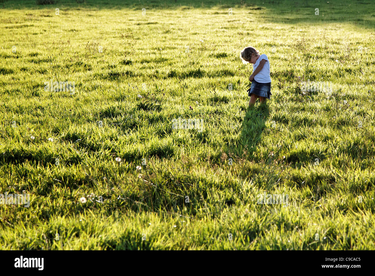 young girl putting something in her pocket in the middle of a meadow ...