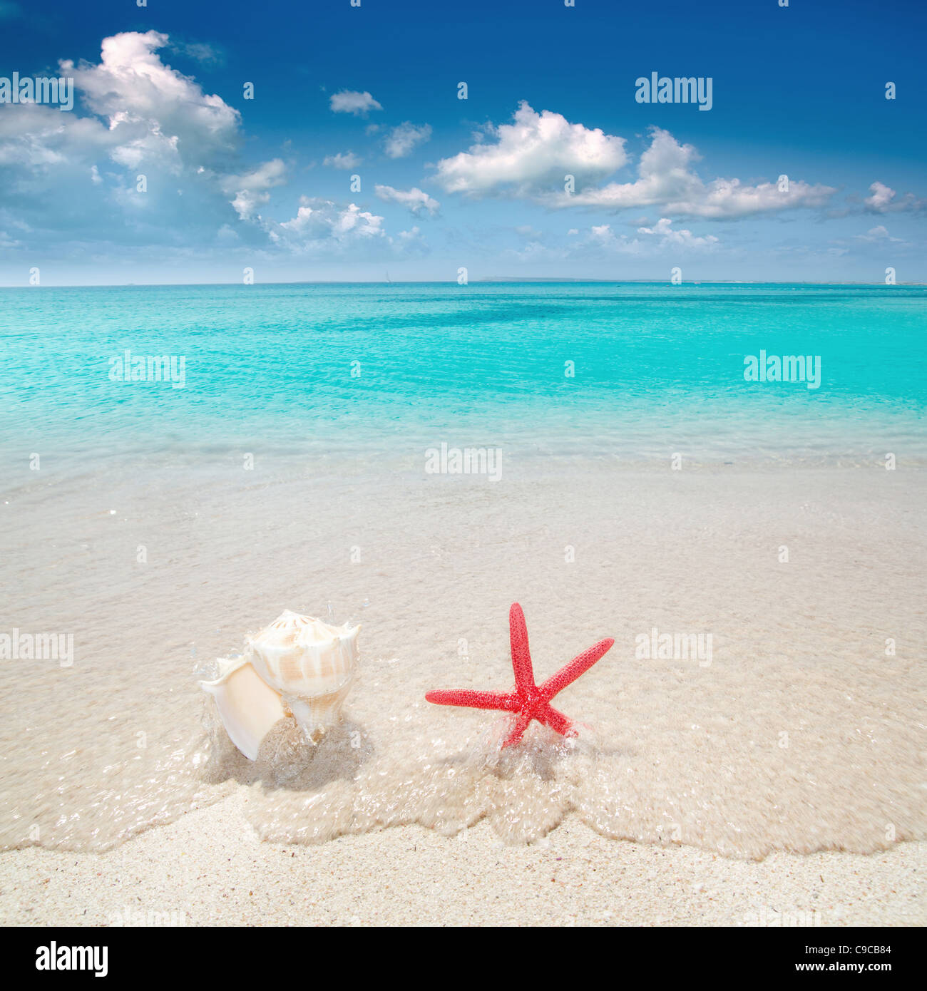 Starfish and seashell in white sand beach with turquoise tropical water ...