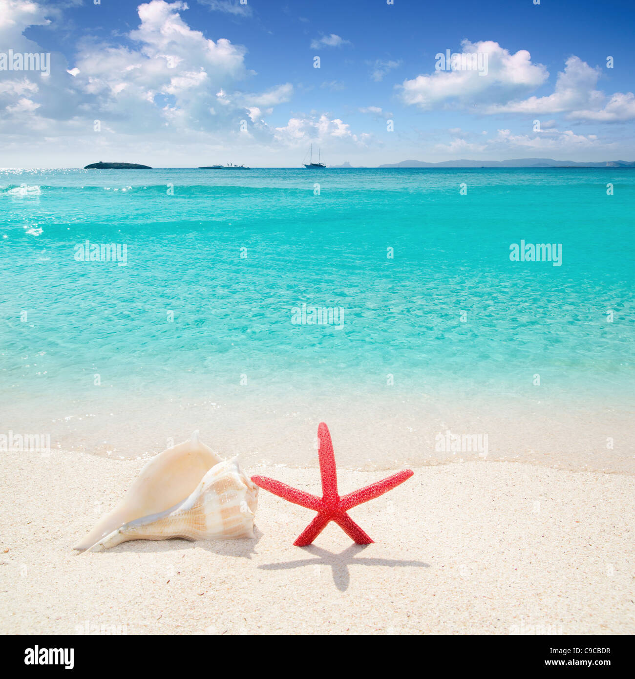 Starfish and seashell in white sand beach with turquoise tropical water ...