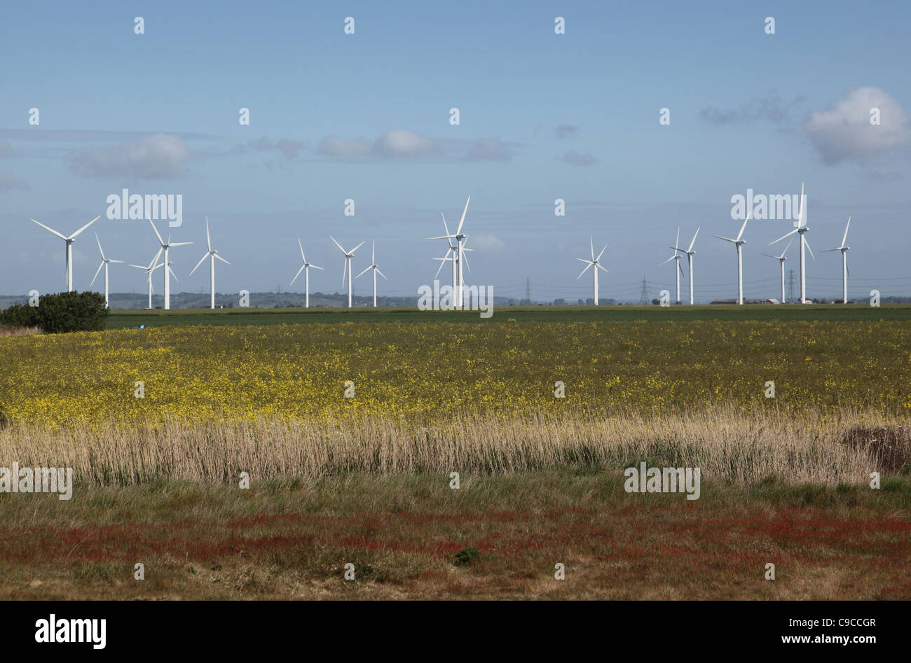 View of an onshore wind farm surrounded by farmland at Romney Marsh ...