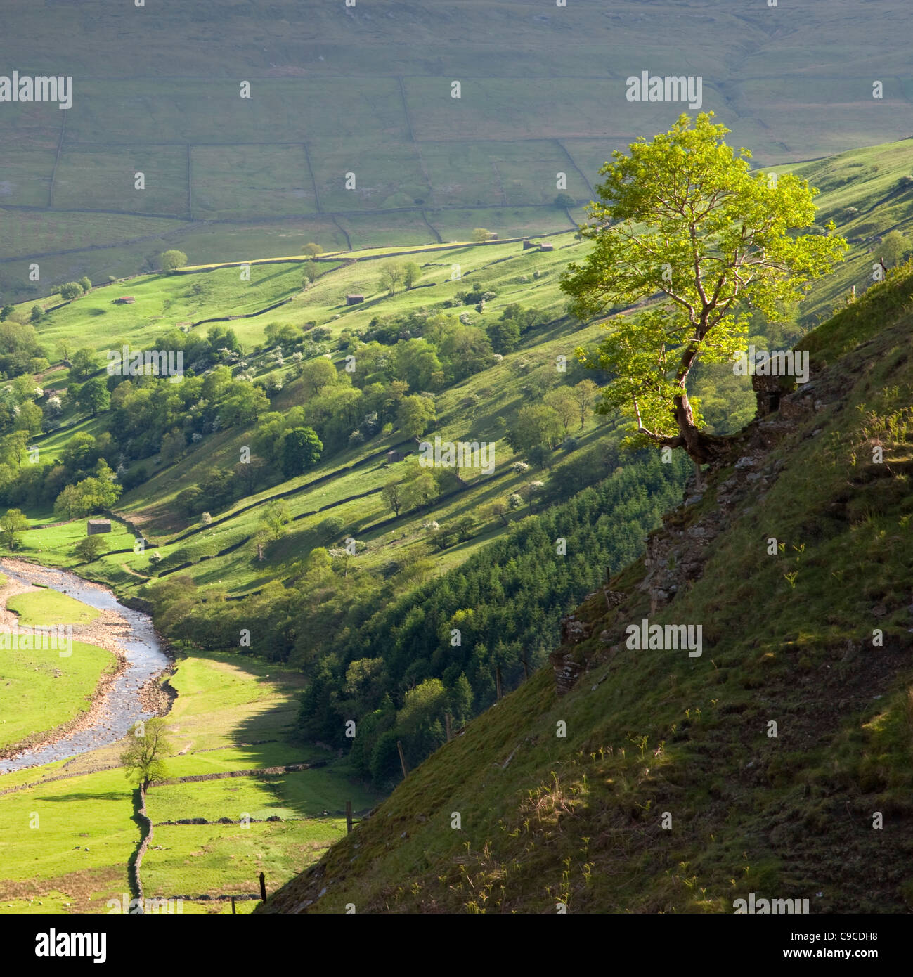 The hanging tree hi-res stock photography and images - Alamy