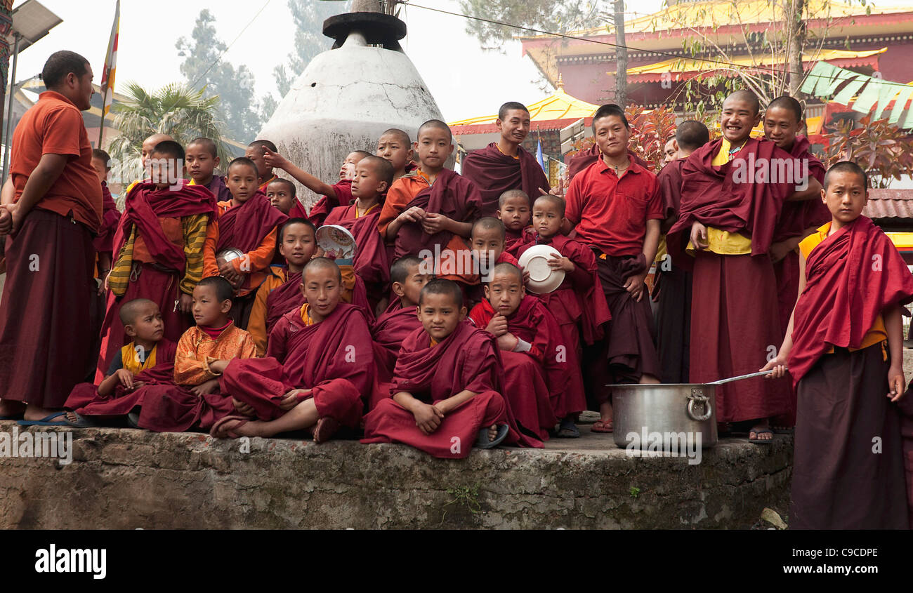 India, South Asia, Sikkim, Buddhist Lama Monks in a bonfire ceremony ...