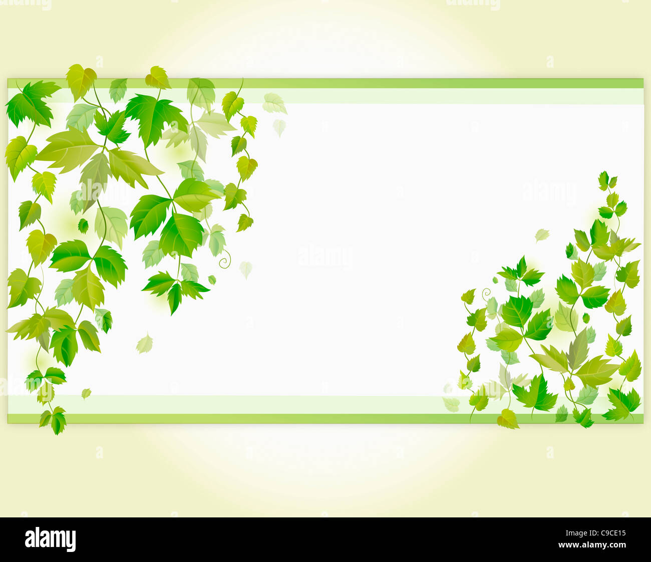 Note paper with green leaves Stock Photo - Alamy