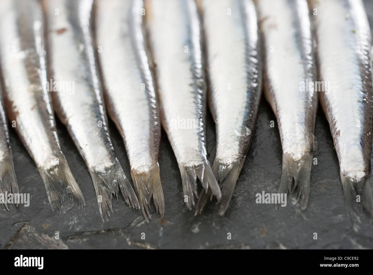 Raw anchovies, cropped Stock Photo - Alamy
