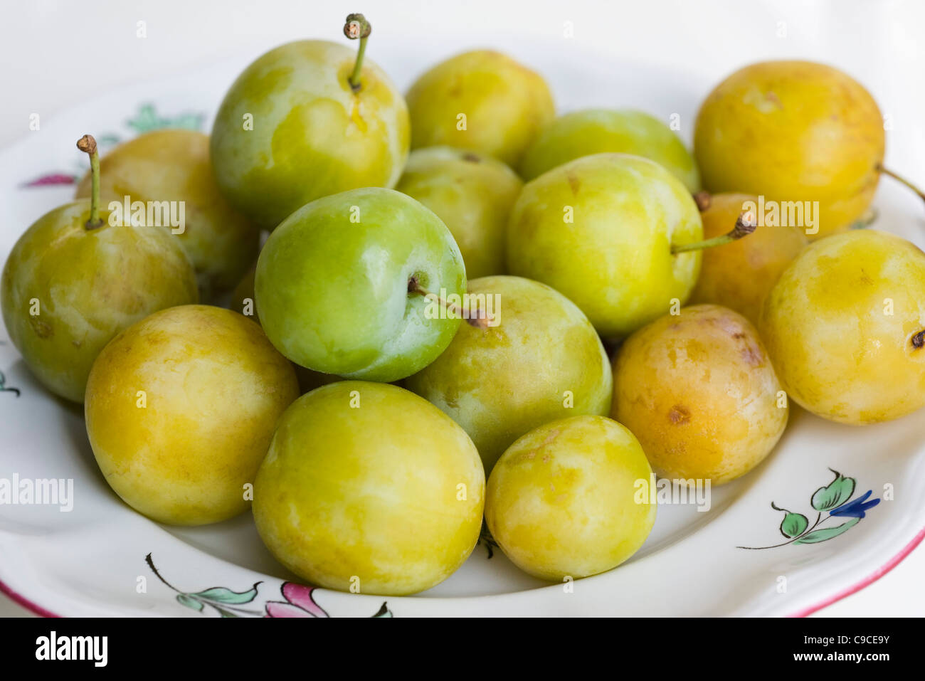 Greengages Greengage Plum Plums Healthy Fruit Fruits Food High Resolution Stock Photography and ...