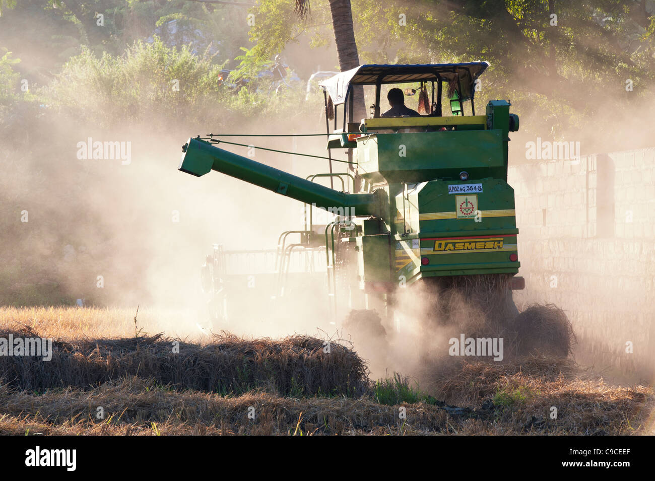 Indian Combine harvester harvesting rice crop. Andhra Pradesh, India ...