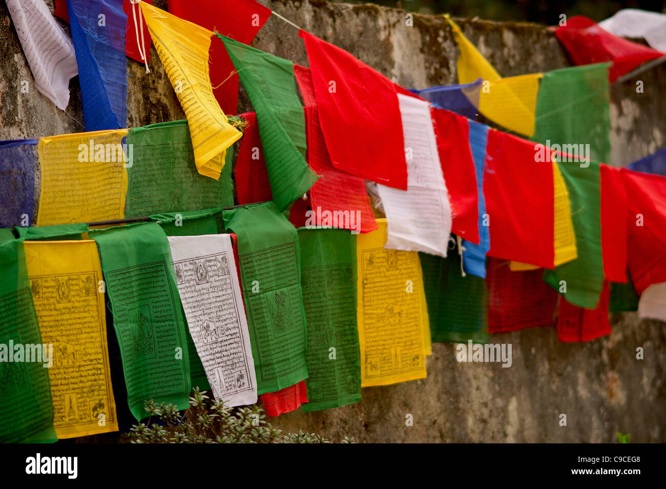 India, South Asia, Sikkim, Colourful prayer flags in Buddhist monastery ...