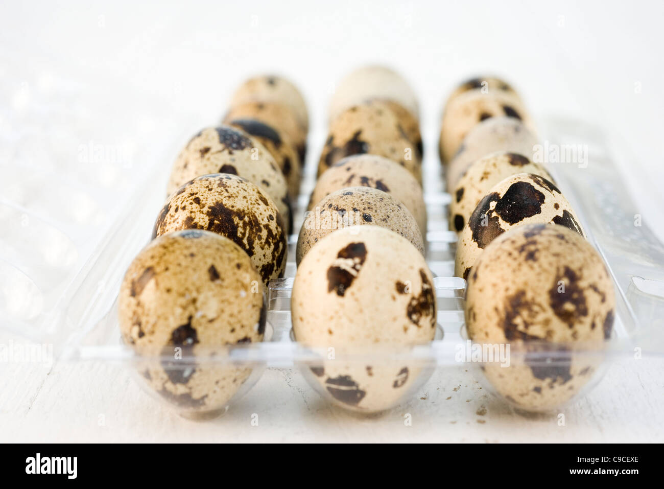 One speckled quail egg hi-res stock photography and images - Alamy