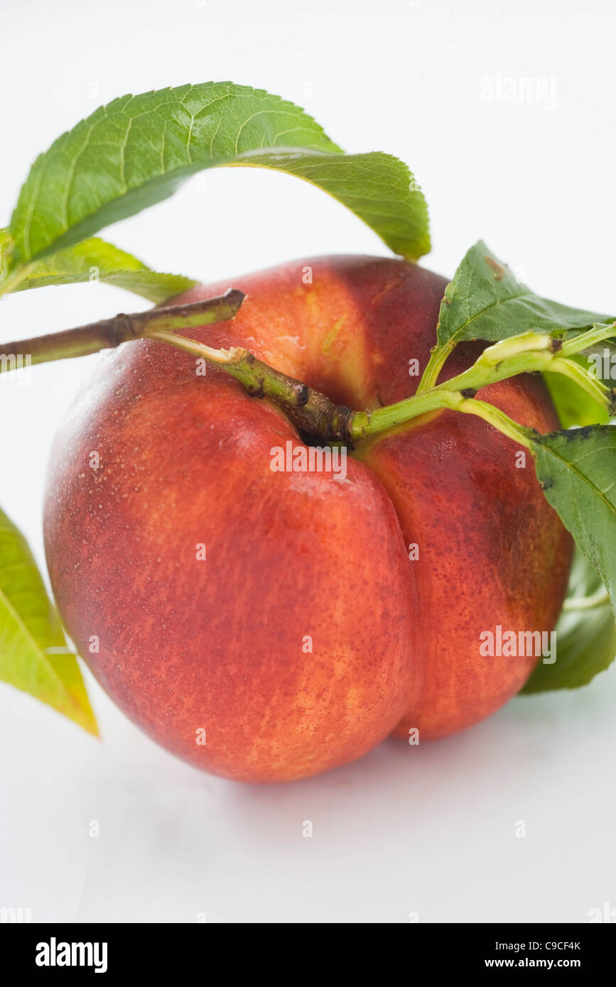 Nectarine images hi-res stock photography and images - Alamy