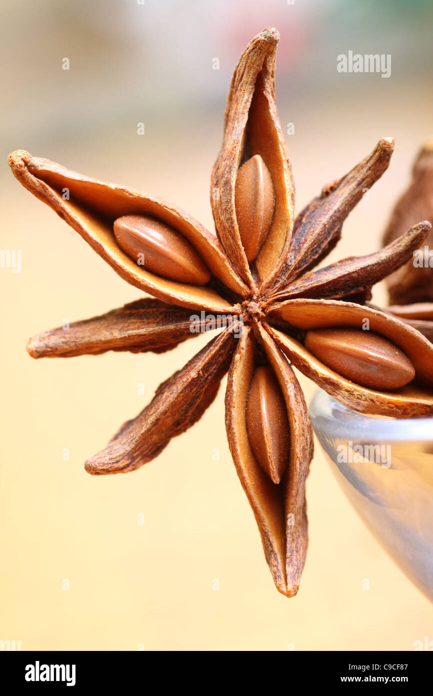 Star shaped seed pod hi-res stock photography and images - Alamy