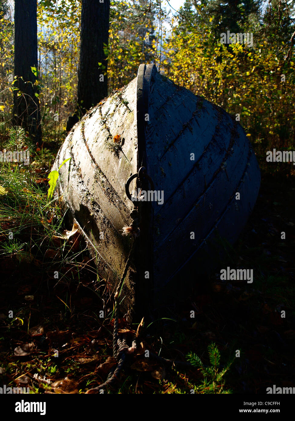 Boat in forest Stock Photo - Alamy