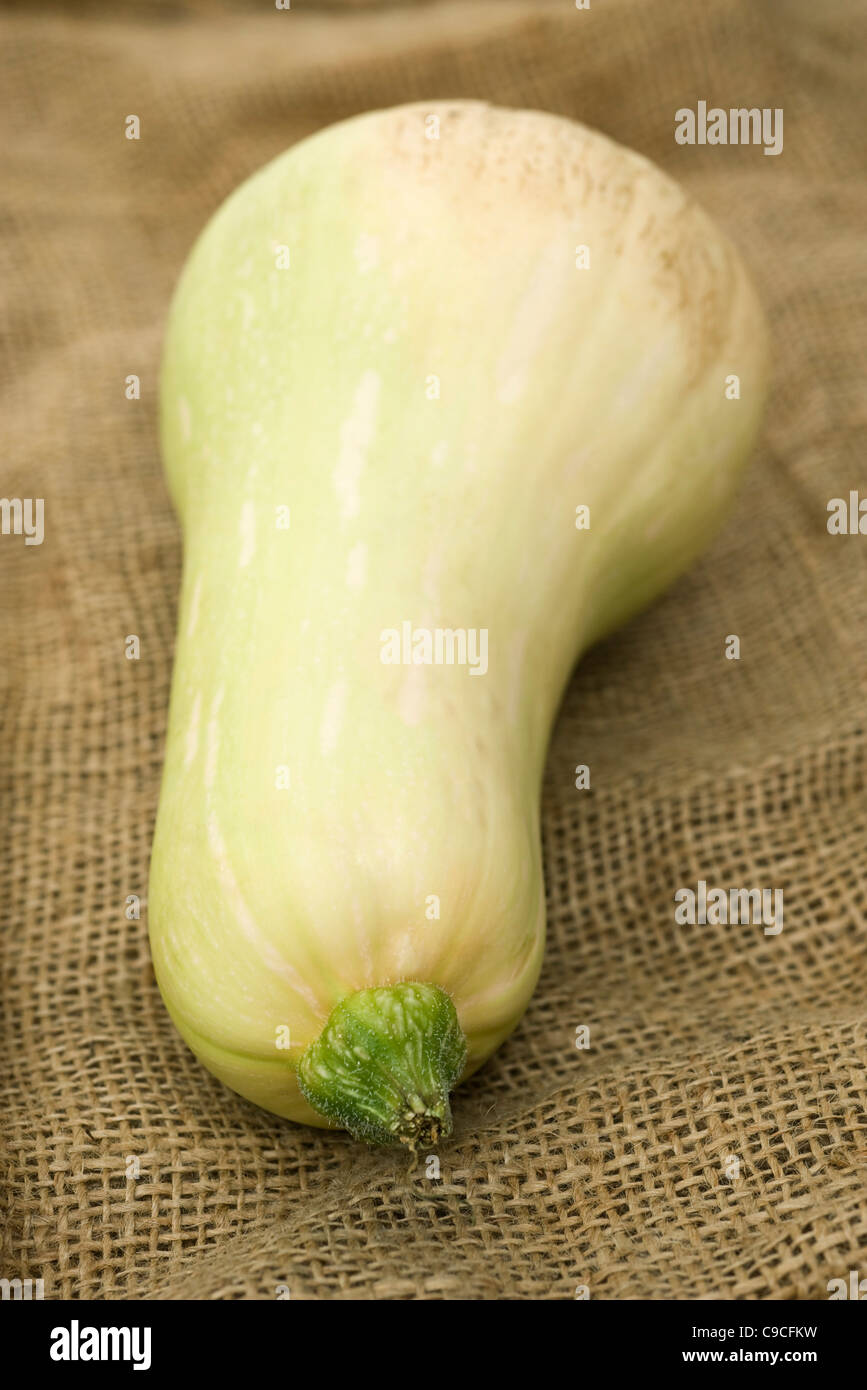 Butternuts squash hi-res stock photography and images - Alamy