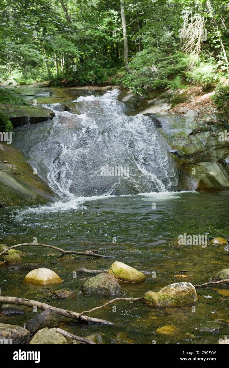 Stream through woods Stock Photo - Alamy