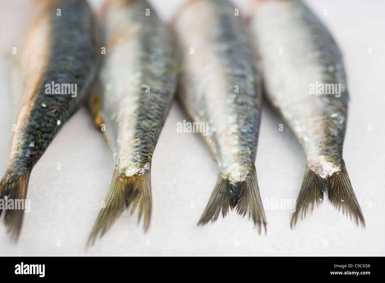 Close up of sardine tails hi-res stock photography and images - Alamy