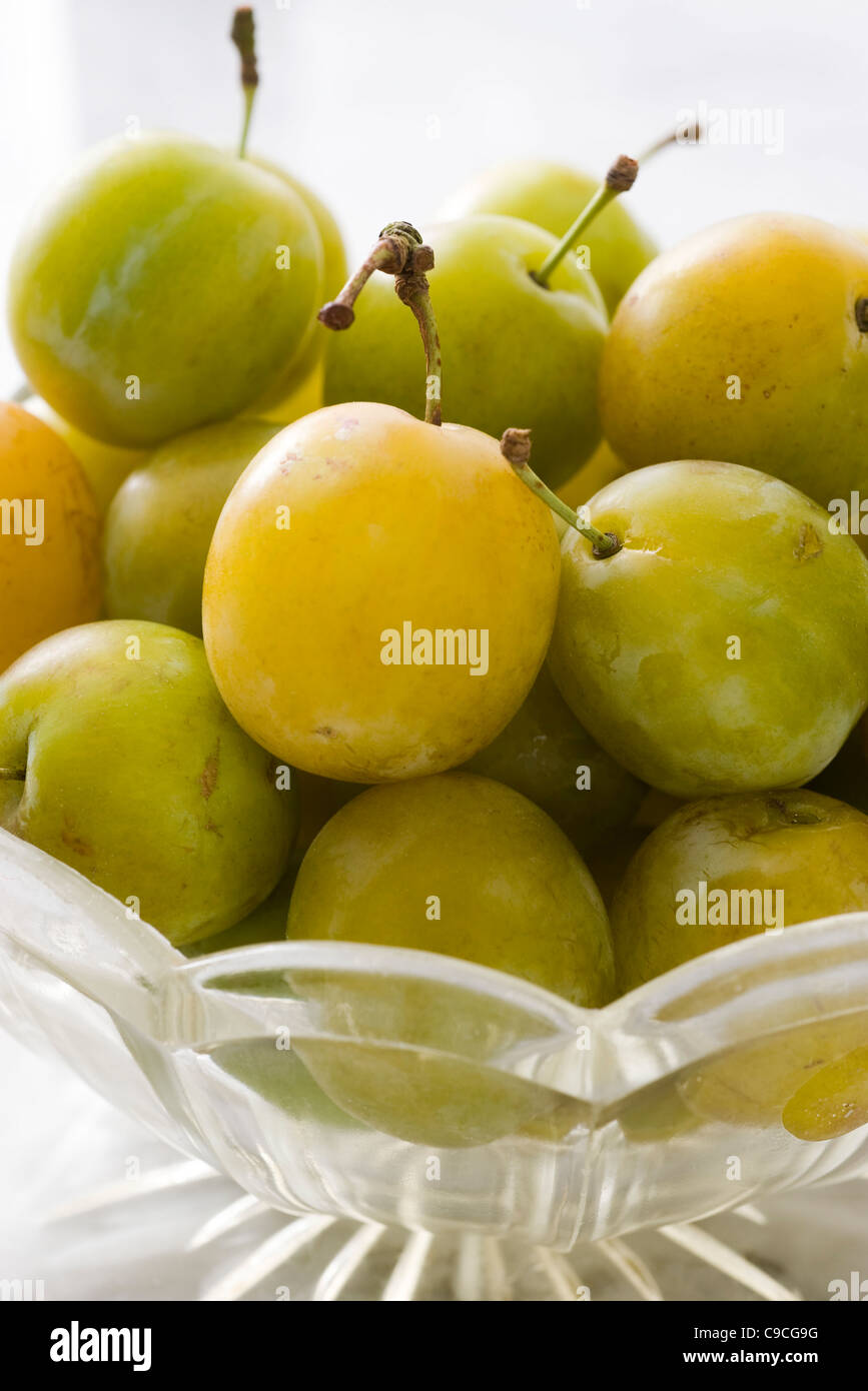 Yellow greengage hi-res stock photography and images - Alamy