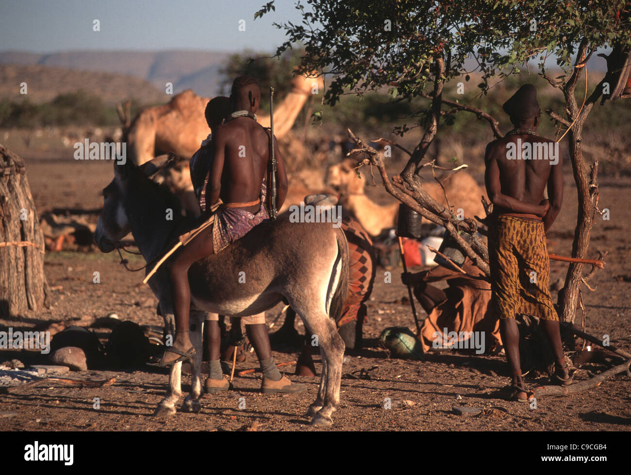 Southern Africa, Namibia, North, Himba man with rifle riding donkey ...