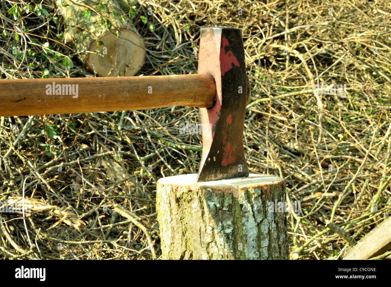 Chopping wood with an ax Stock Photo - Alamy