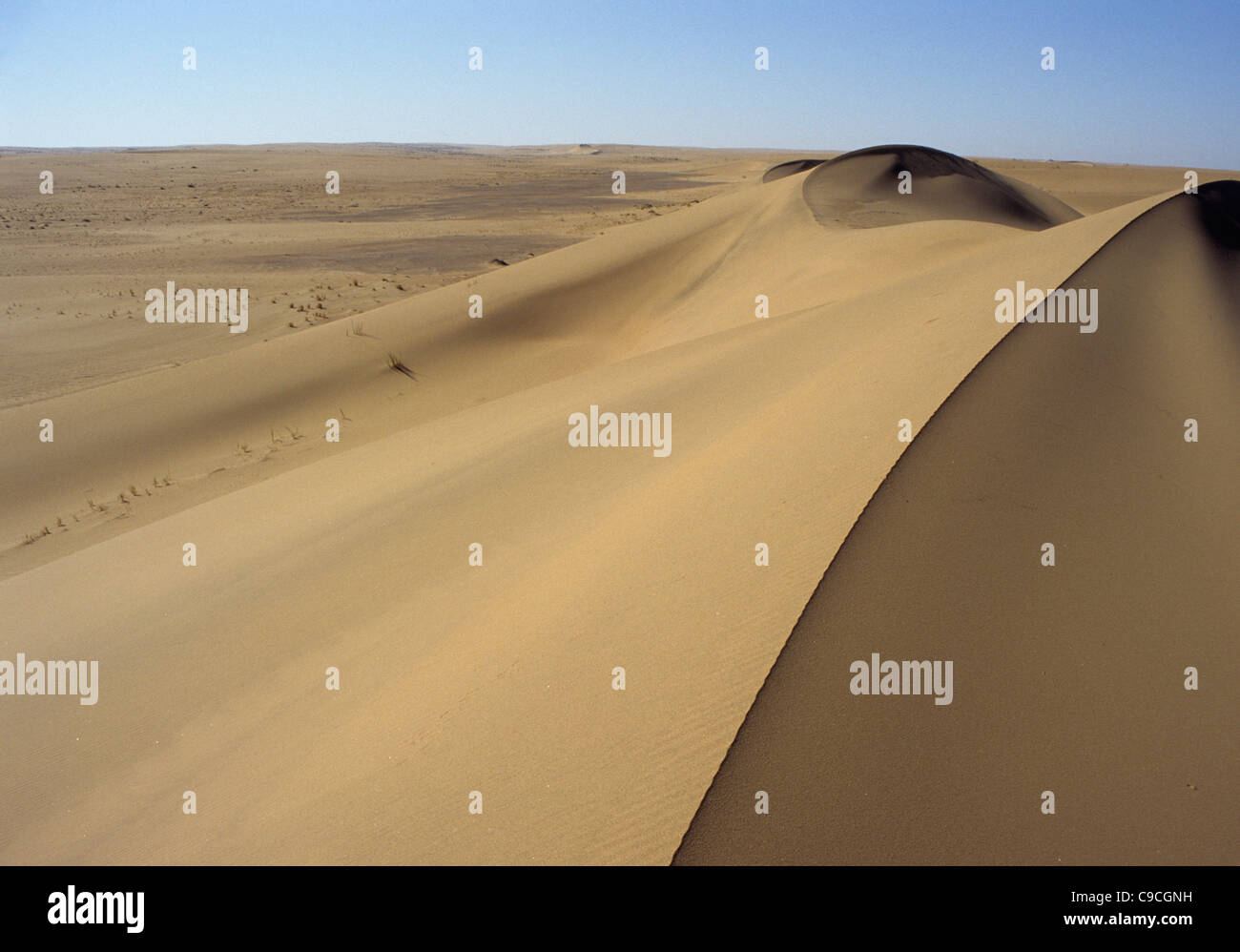 Namibia, Southern Africa, Namib Naukluft Desert, sand dunes in the De ...