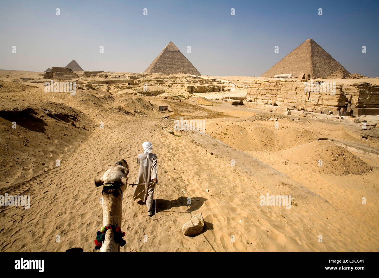 Camel ride trough the pyramids, Giza, Cairo Egypt Stock Photo - Alamy
