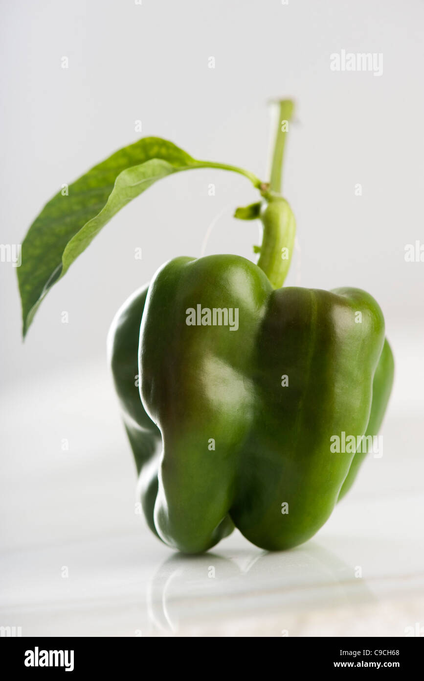Fresh green bell pepper Stock Photo - Alamy