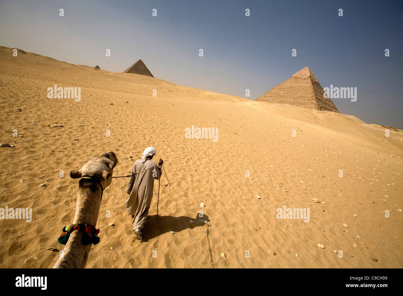 Camel ride trough the pyramids, Giza, Cairo Egypt Stock Photo - Alamy